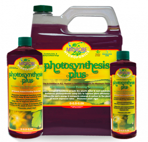 PREMIUM PHOTOSYNTHESIS PLUS