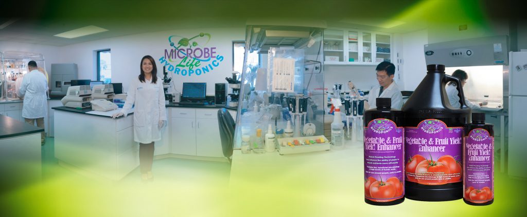 LP VEGETABLE & FRUIT YIELD ENHANCER - MicrobeLifeHydro