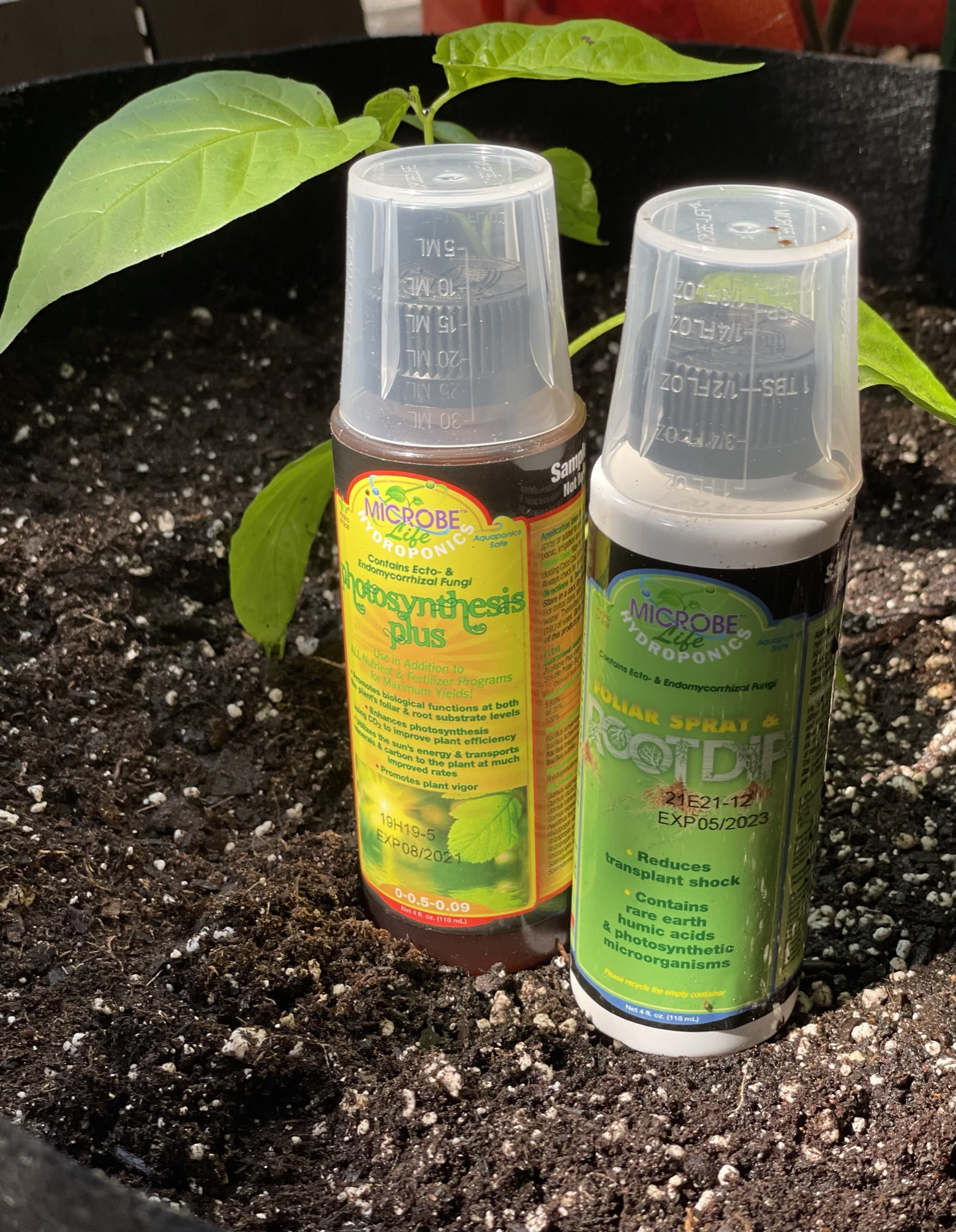 A Guide to Raised-Bed and Container Gardening - MicrobeLifeHydro