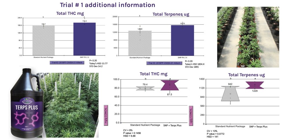 Terps Plus - MicrobeLifeHydro